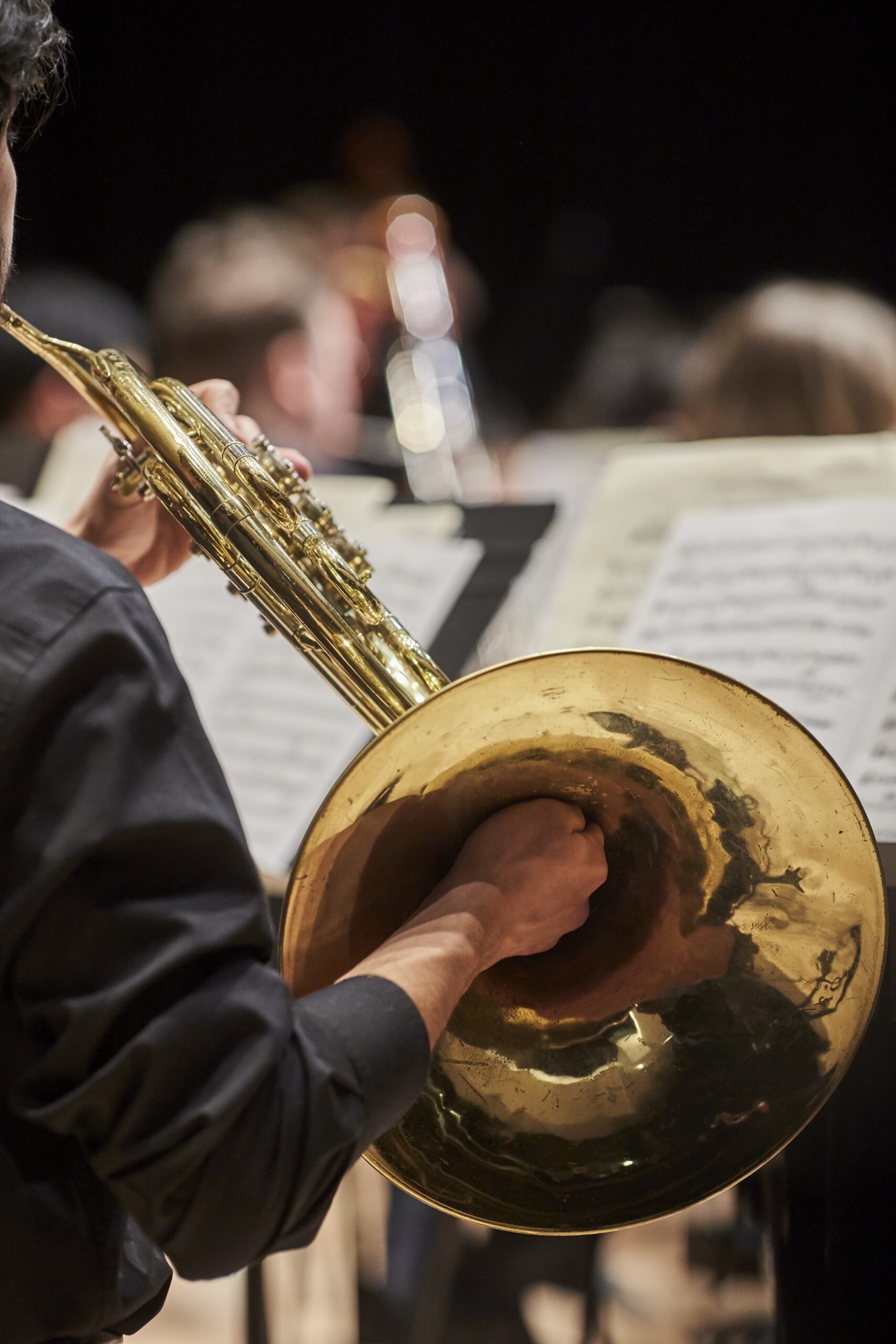 Home - Hamilton Philharmonic Orchestra