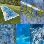 Meet Amy McIntosh, Intimate & Immersive multimedia artist - Hamilton ...