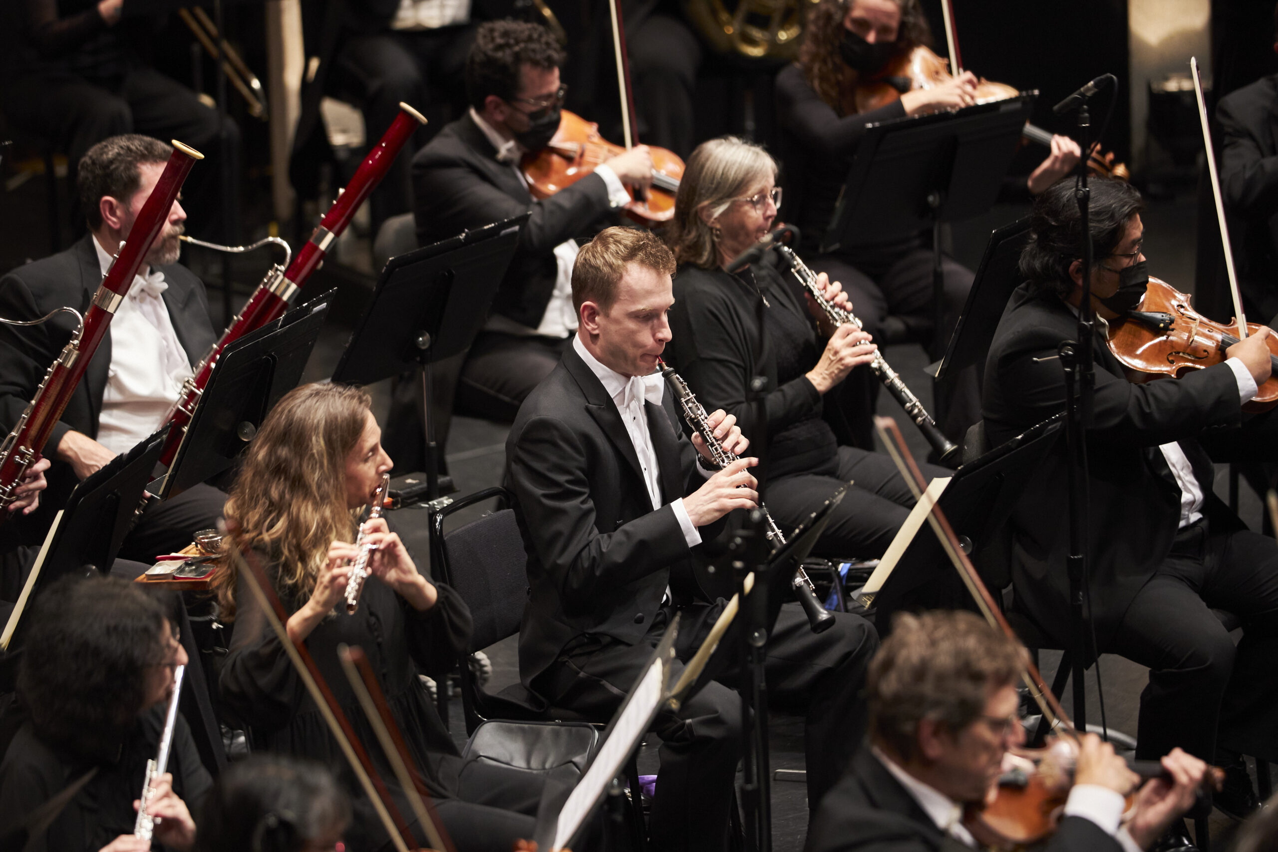 Inside the Orchestra: Brahms - Hamilton Philharmonic Orchestra