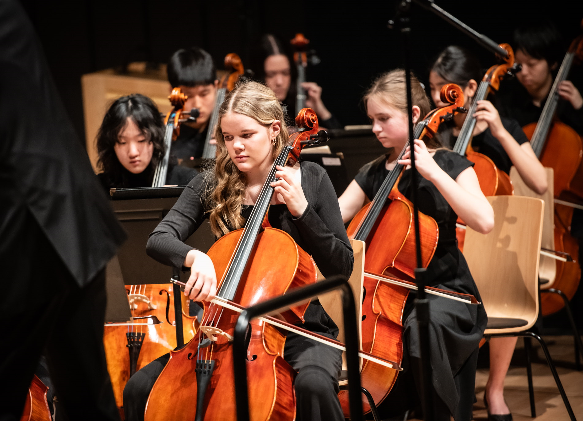 A Gift from the Heart: How a Cello Named “Linus” Found Its Way Home ...